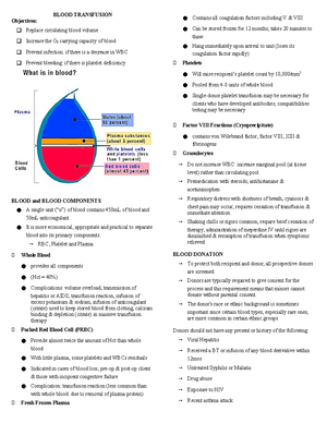 Morse fall scale assessment - MORSE FALLS SCALE ASSESSMENT Submitted by ...