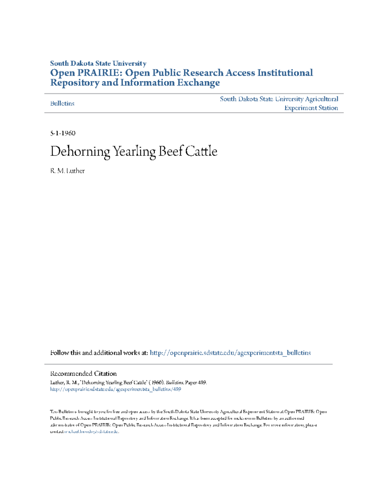 Dehorning Yearling Beef Cattle - South Dakota State University Open ...