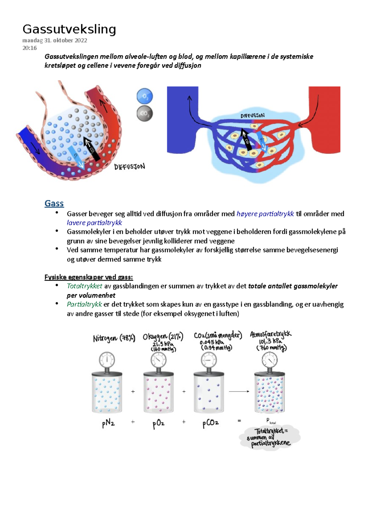 Gassutveksling - respirasjonssystemet - Gassutveksling mandag 31 ...