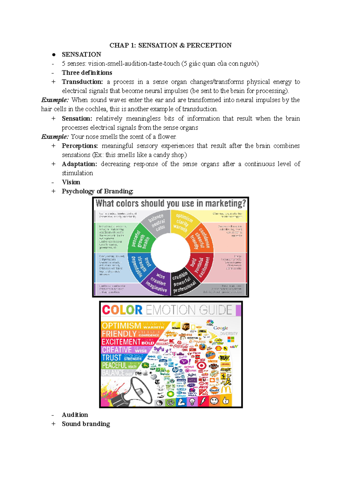 PSY Midterm Official SEM 1 (24-25) - CHAP 1: SENSATION & PERCEPTION ...