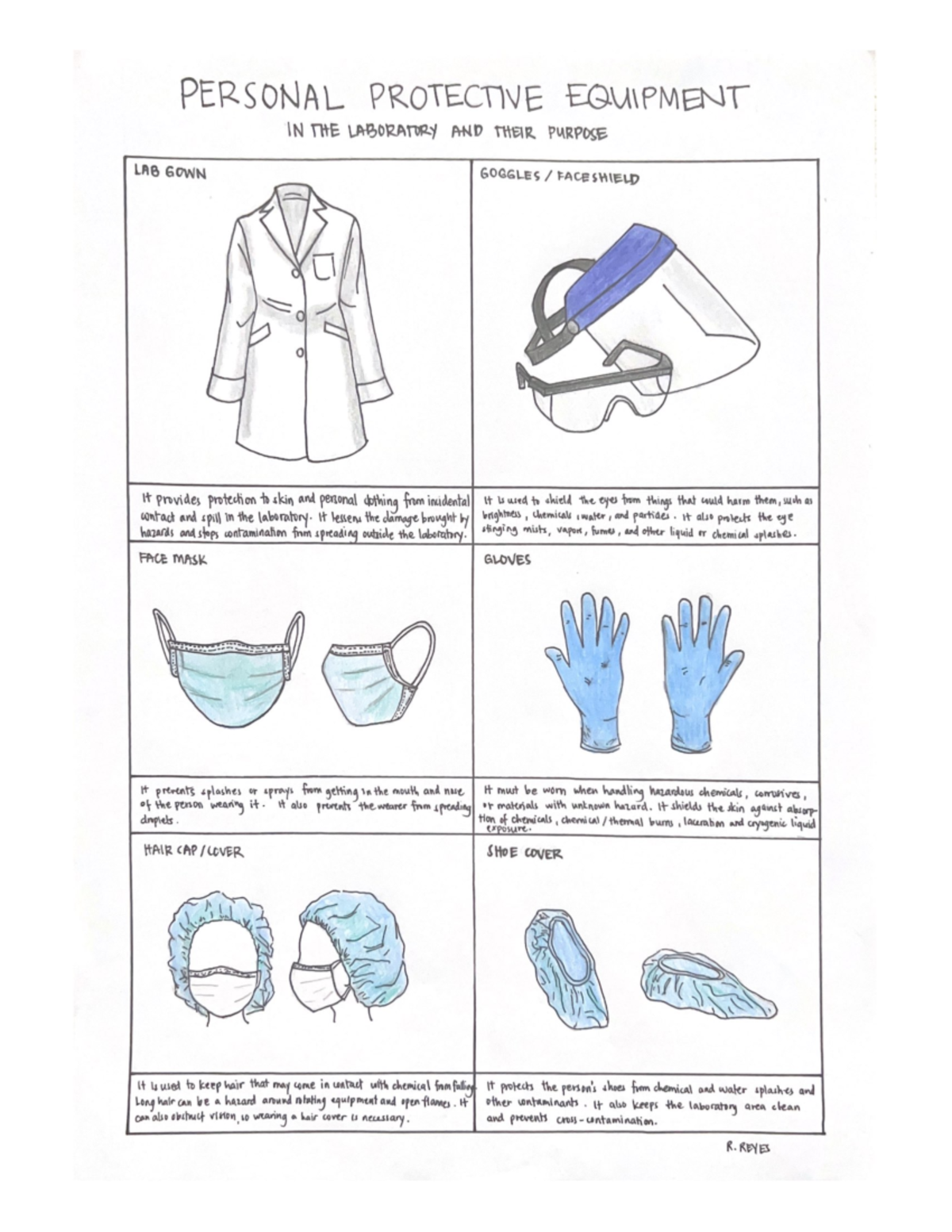 PPE and Hazard Symbols - bzhsbs - PERSONAL PROTECTIVE EQUIPMENT IN THE ...
