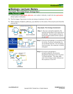 HOL - bio 121 lab biological macromolecules - (/#/home) Home (myhol ...