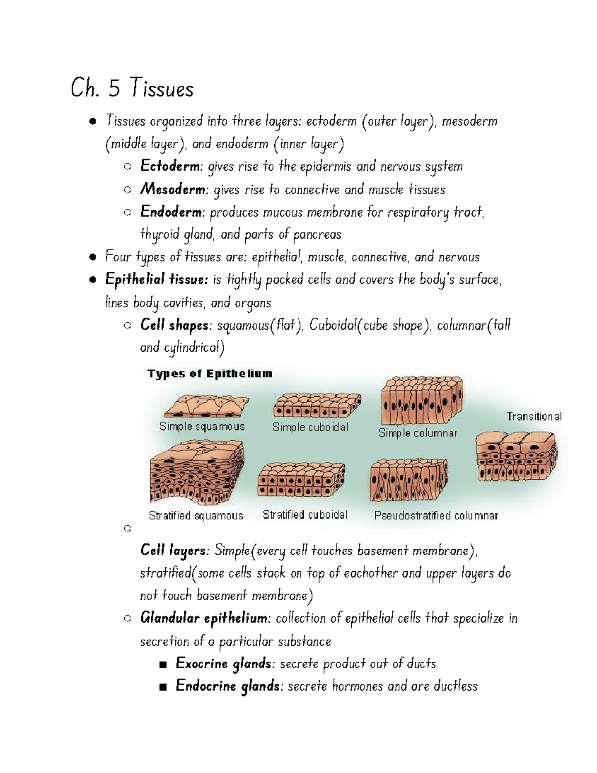 Anatomy Tissues - Ch. 5 Tissues Tissues organized into three layers ...