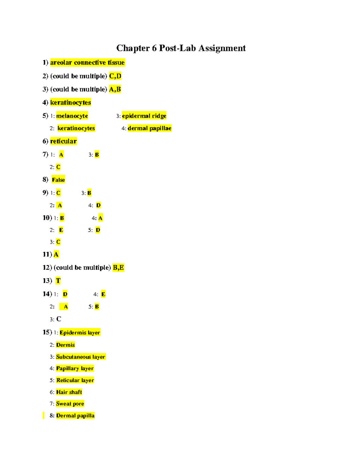 Chapter 6 Post-Lab Form - Chapter 6 Post-Lab Assignment 1) areolar connective tissue 2) (could ...