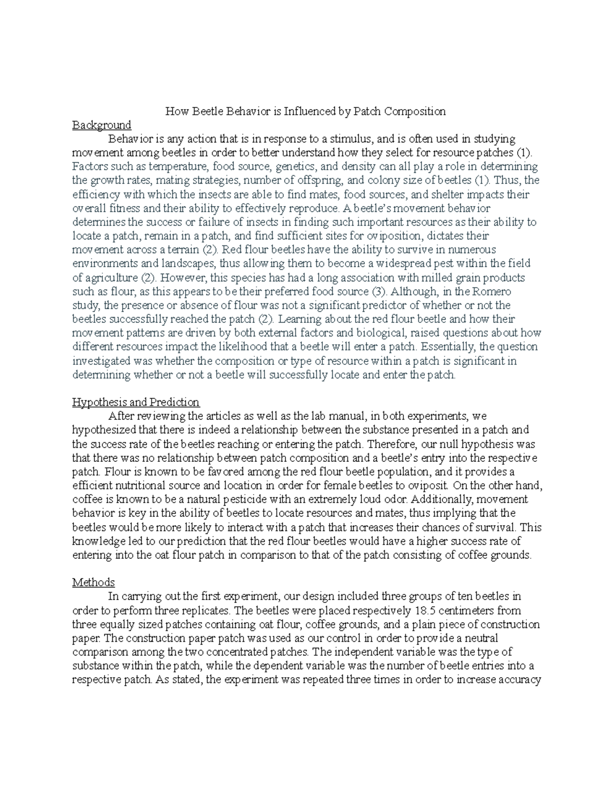Beetle Lab Communication Allison Hodgins - How Beetle Behavior is ...