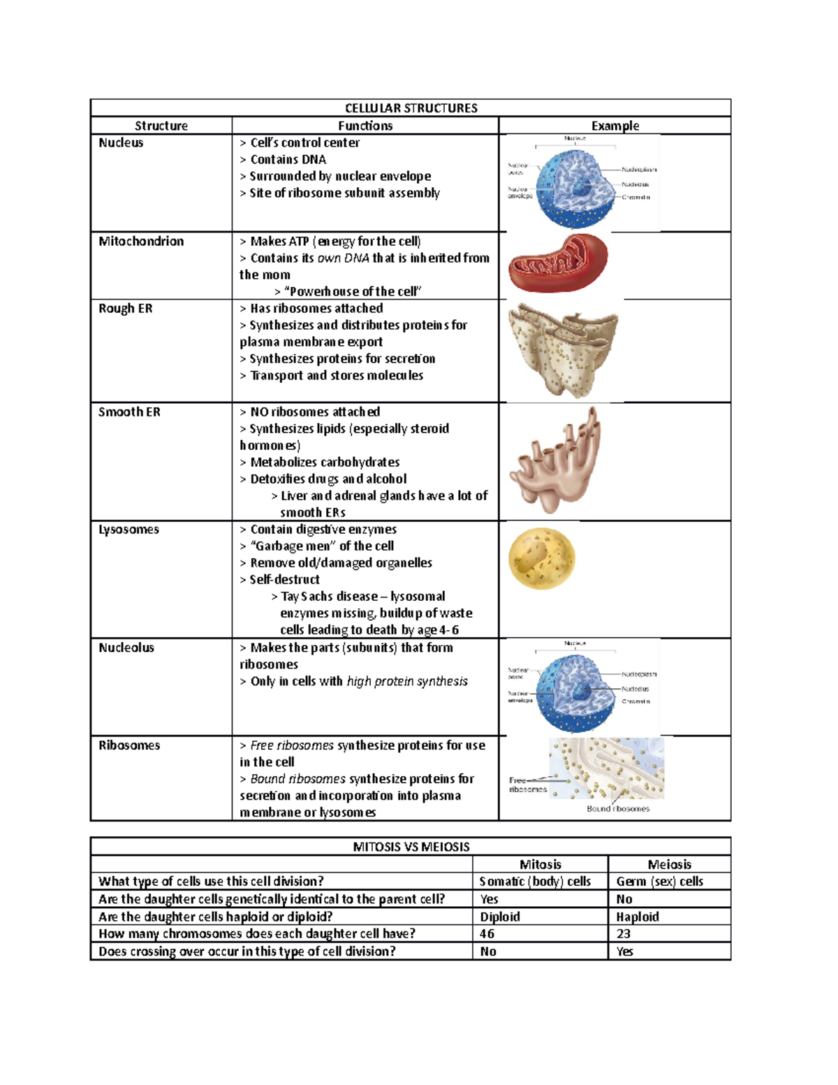 Exam 1 Review - Dr. Valerie Dean O'Loughlin, Dr. Kathryn Propst, Dr ...
