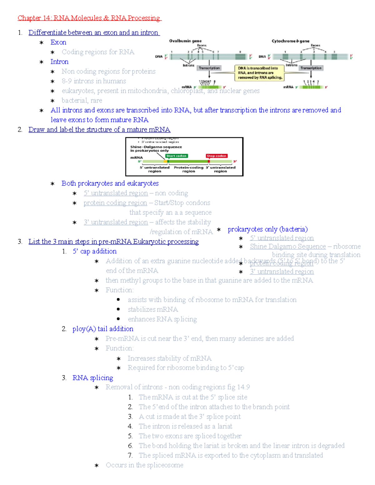 Ch 14: Complete lecture, powerpoint, and book notes - Chapter 14: RNA ...