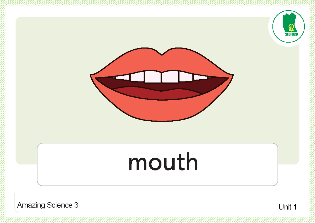 Amazing Science 3 Tranh từ vựng (Flashcards) Copy - unit 3 englishh ...