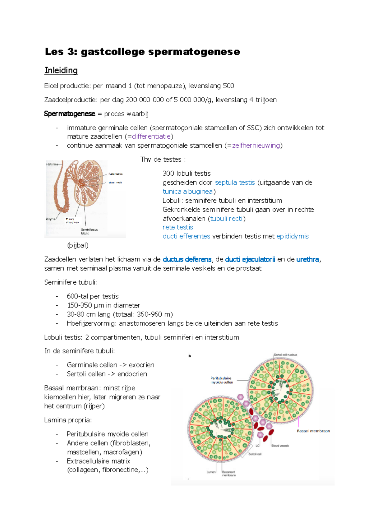 Embryologie les 3 - Prof. Dr. H. TOURNAYE - Les 3: gastcollege ...