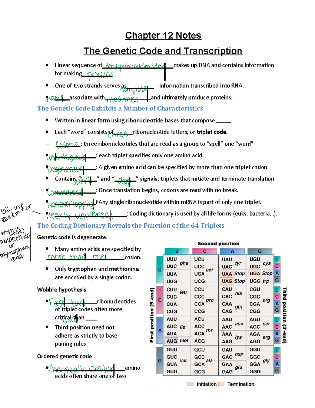 Chapter 12 Notes - Genetic Code and Transcription - One of two strands ...