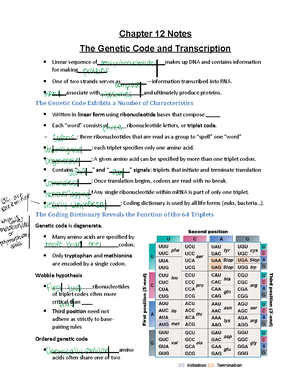 Chapter 14 Notes - Gene Mutation, DNA Repair, and Transposition ...