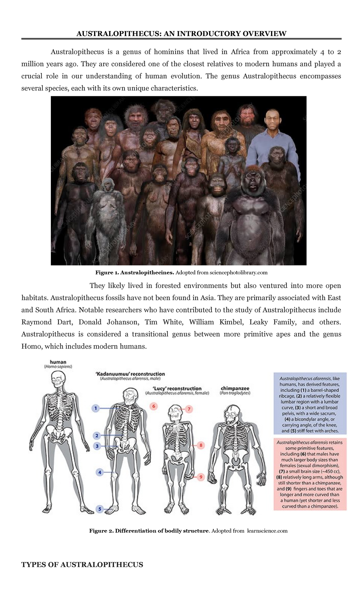 Autralopithecines - These lecture notes cover the topic of ...