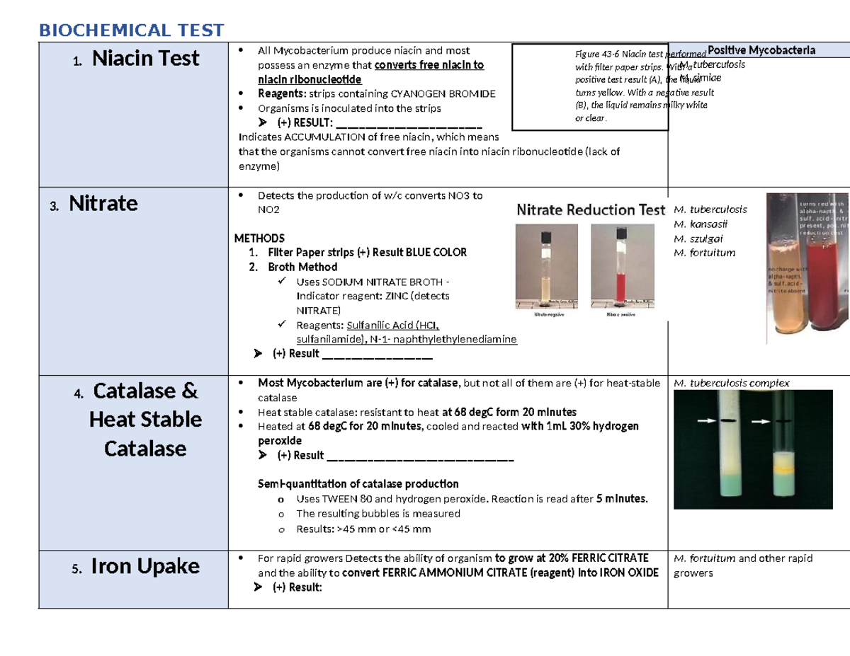 Biochemical test - BIOCHEMICAL TEST 1. Niacin Test All Mycobacterium ...