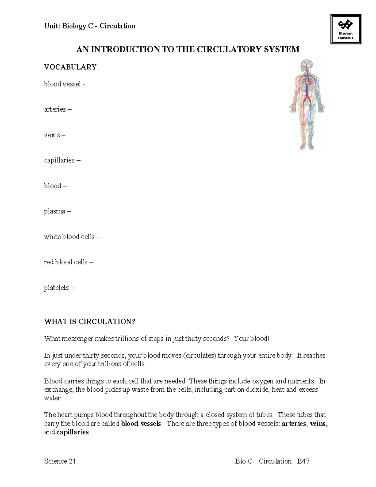 Circulatory system study guide - AN INTRODUCTION TO THE CIRCULATORY ...