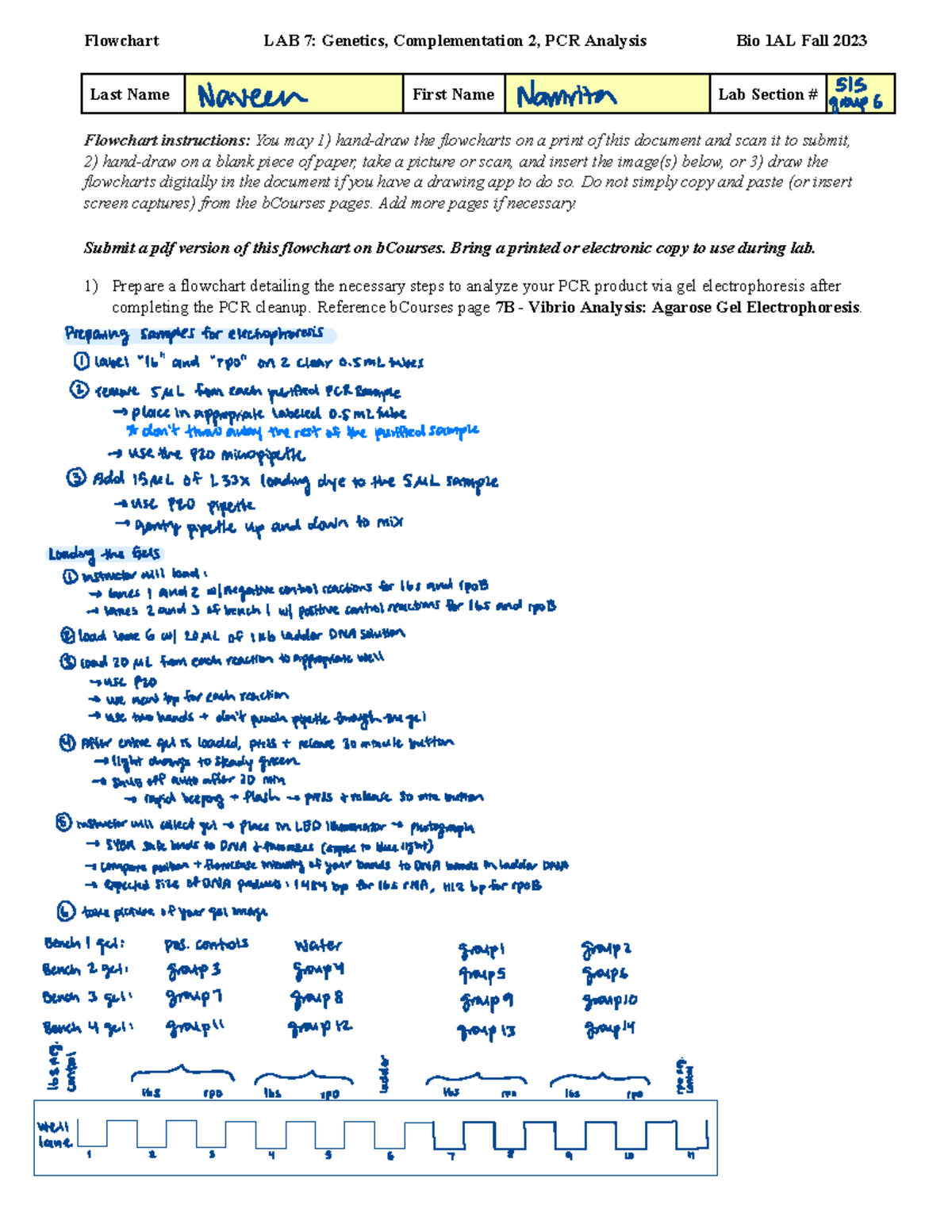Lab 7 Flowchart - Flowchart LAB 7 : Genetics, Complementation 2 , PCR ...
