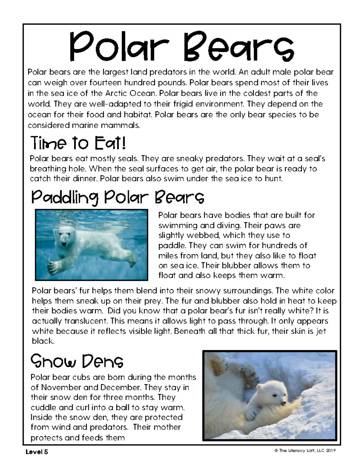 Sahana Nielson - Polar Bears Text Set - POLAR BEARS ARE CLASSIFIED AS ...