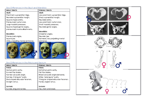 BIAN2015 Study Layout - BIAN2015 Human Skeletal Analysis Week 1 ...
