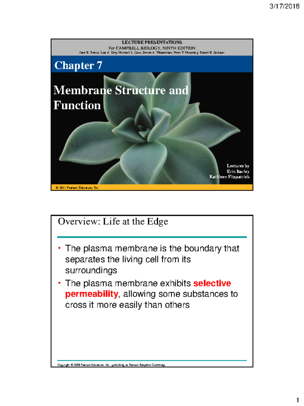 chapter seven bio - © 2011 Pearson Education, Inc. LECTURE ...
