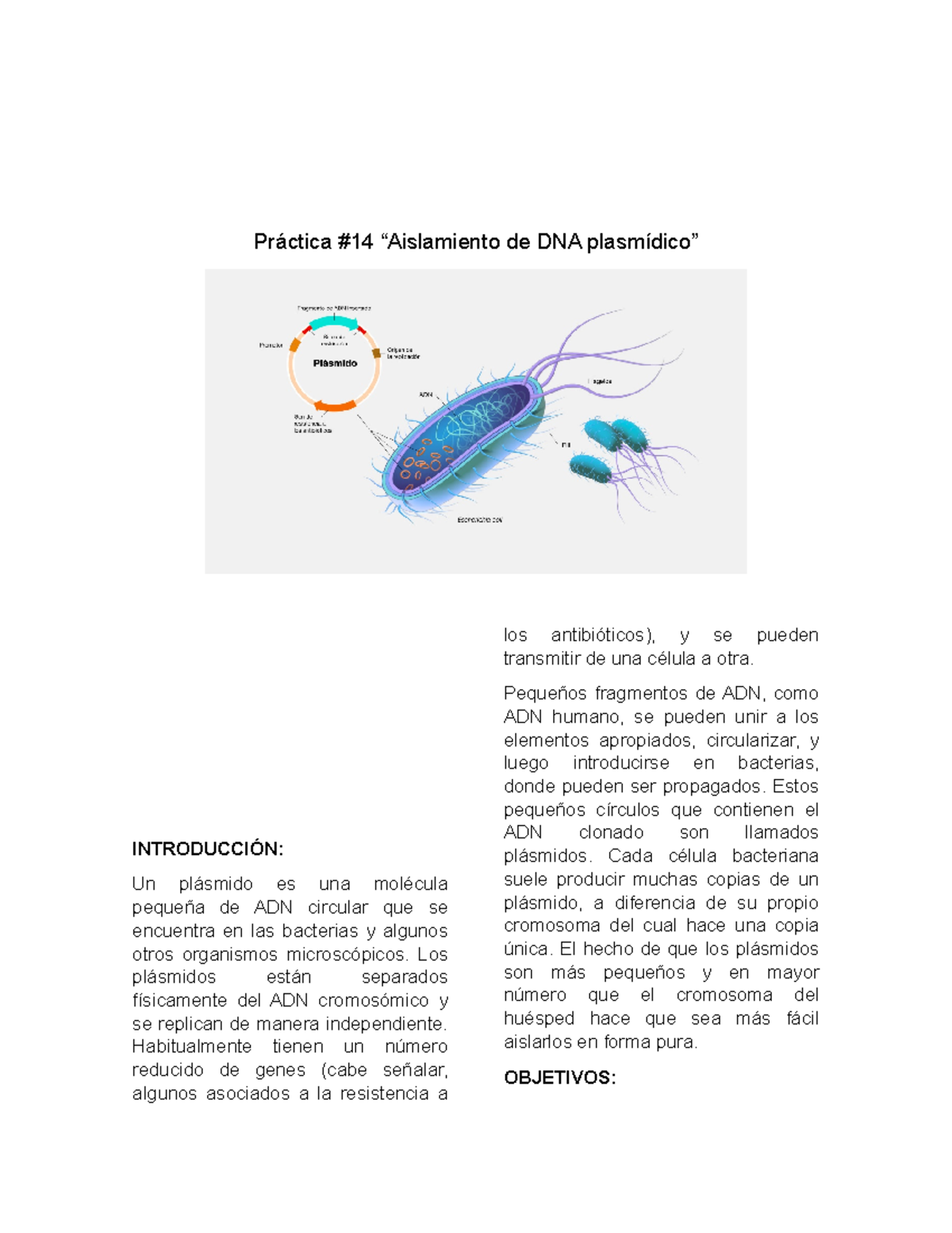 P 14 - Practica 14 bioquimica - Práctica #14 “Aislamiento de DNA plasmídico” INTRODUCCIÓN: Un ...