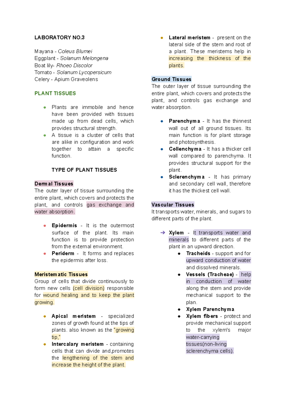 Quiz reviewer - Botany- Plantt Tissues - LABORATORY NO. Mayana - Coleus ...