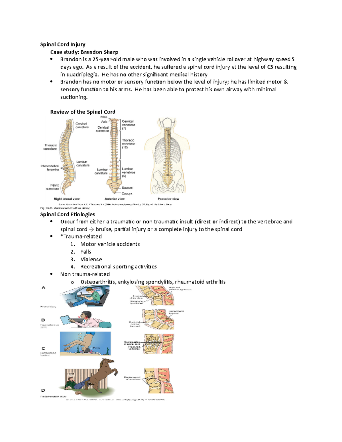 7. SCI lecture-student - Spinal Cord Injury Case study: Brandon Sharp ...