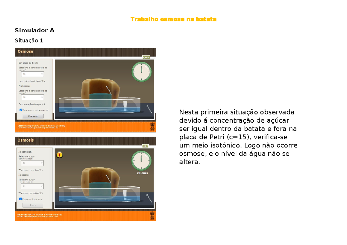 Trabalho osmose na batata - Trabalho osmose na batata Simulador A ...