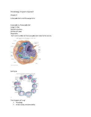 Microbiology Chapter 1 - Main Themes of Microbiology Chapter 1 ...