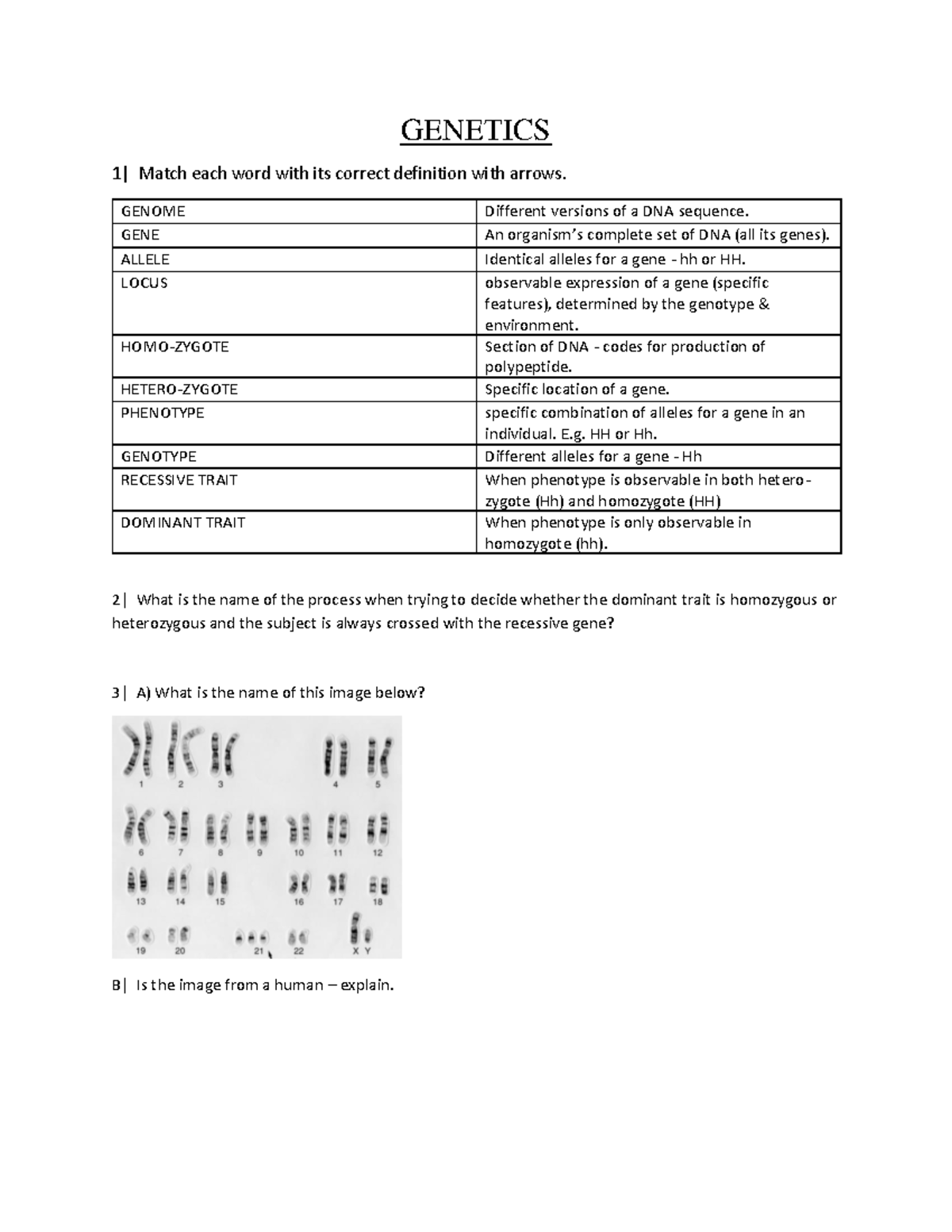 Biology Exam revision poster - genetics - GENETICS 1| Match each word ...