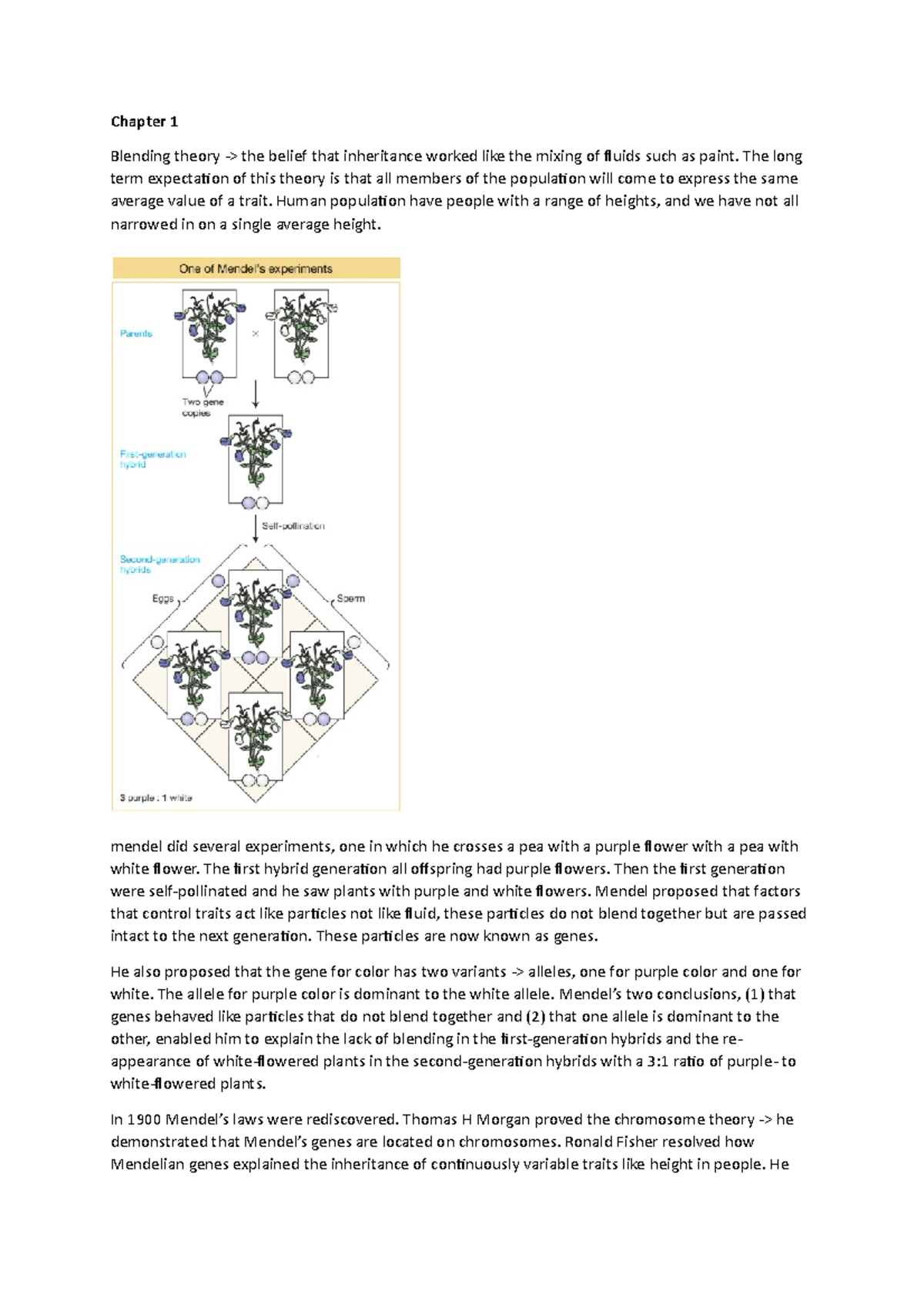 Samenvatting - Chapter 1 Blending theory -> the belief that inheritance ...