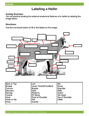Animal Body Systems Chart - Take your cow model apart. Utilizing your ...
