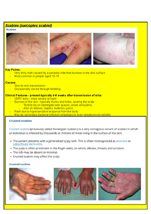 Oxford Stroke Classification (Bamford Classification) - Studocu