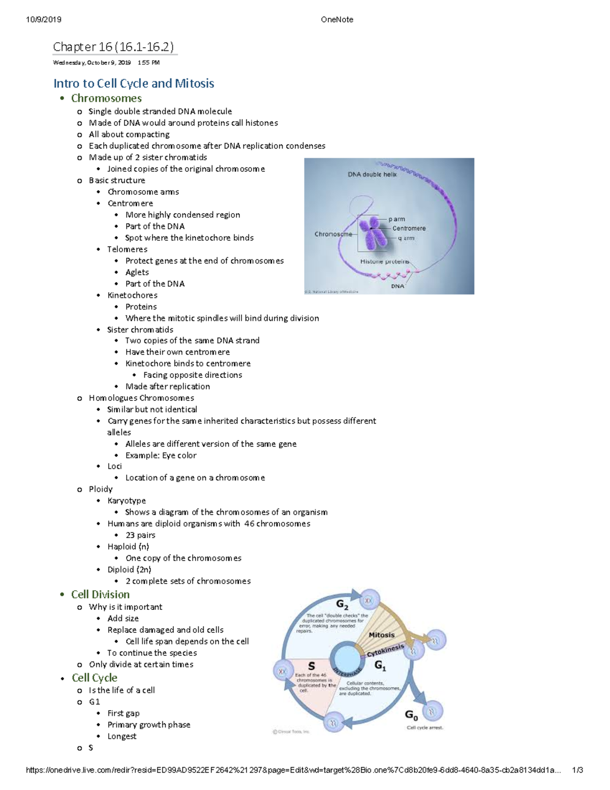 Chapter 16 section 1 and 2 - Warning: TT: undefined function: 32 10/9 ...