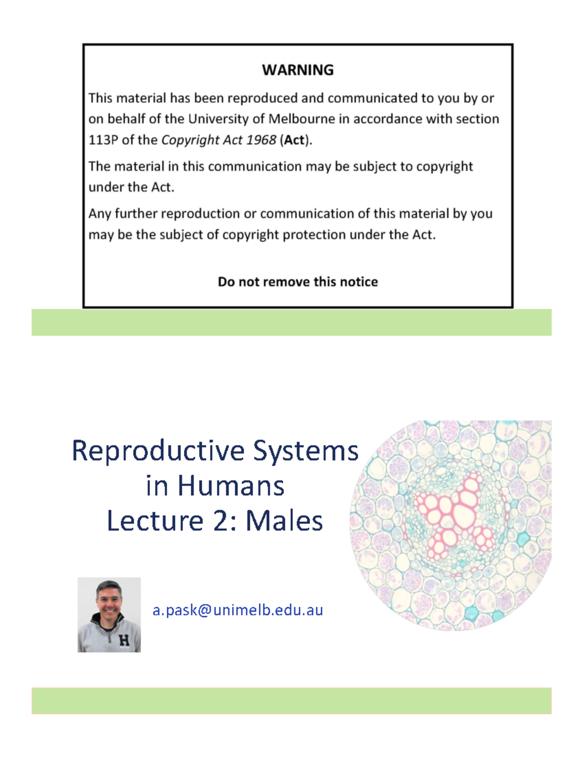 Lec27 reproductive system - Reproductive Systems in Humans Lecture 2 ...