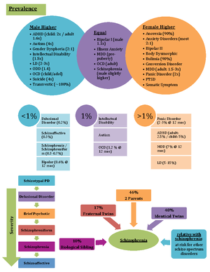 The Gender Code movie review - The Gender Code The Documentary ...