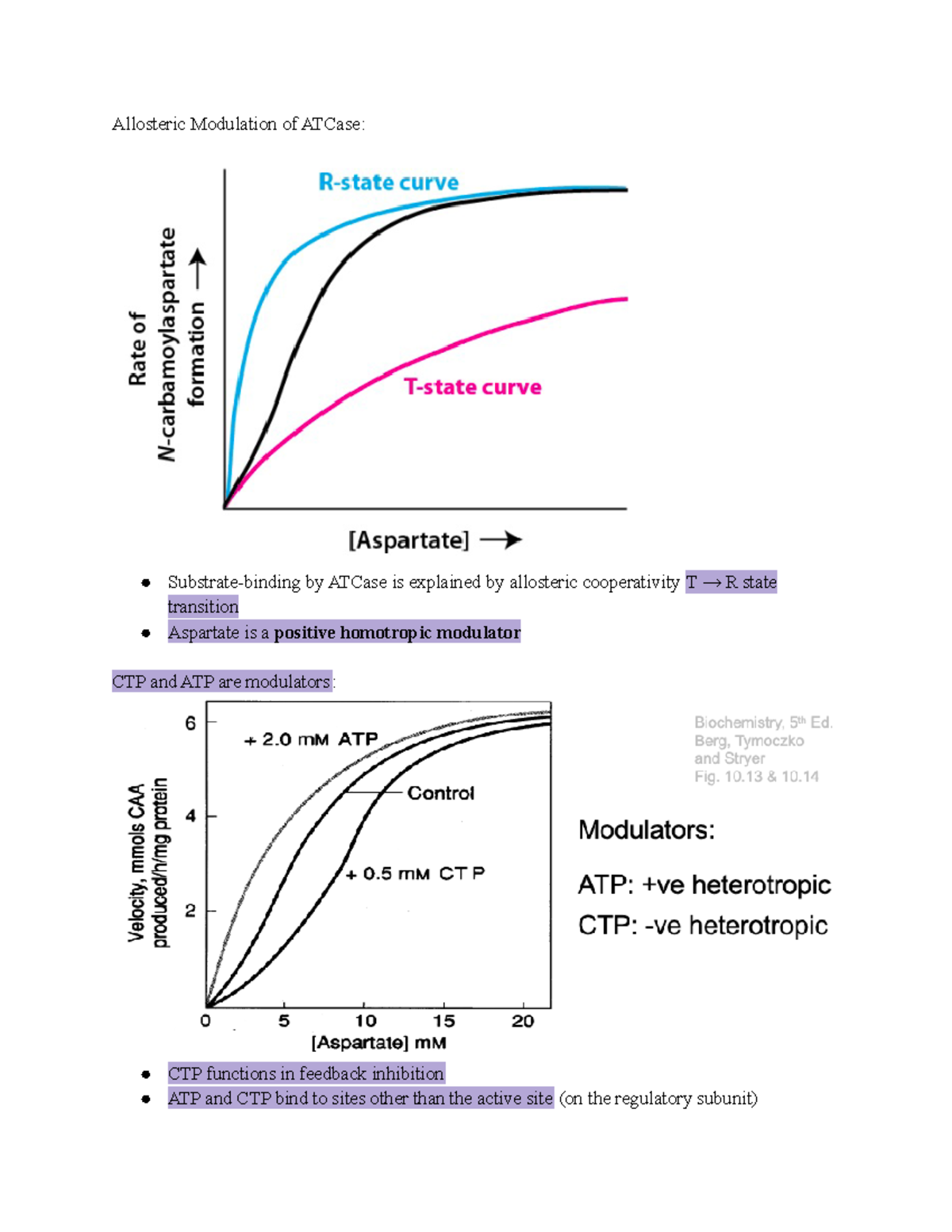 Bioc Lec 10 Bioc 3650 Allosteric Modulation Of Atcase Substrate