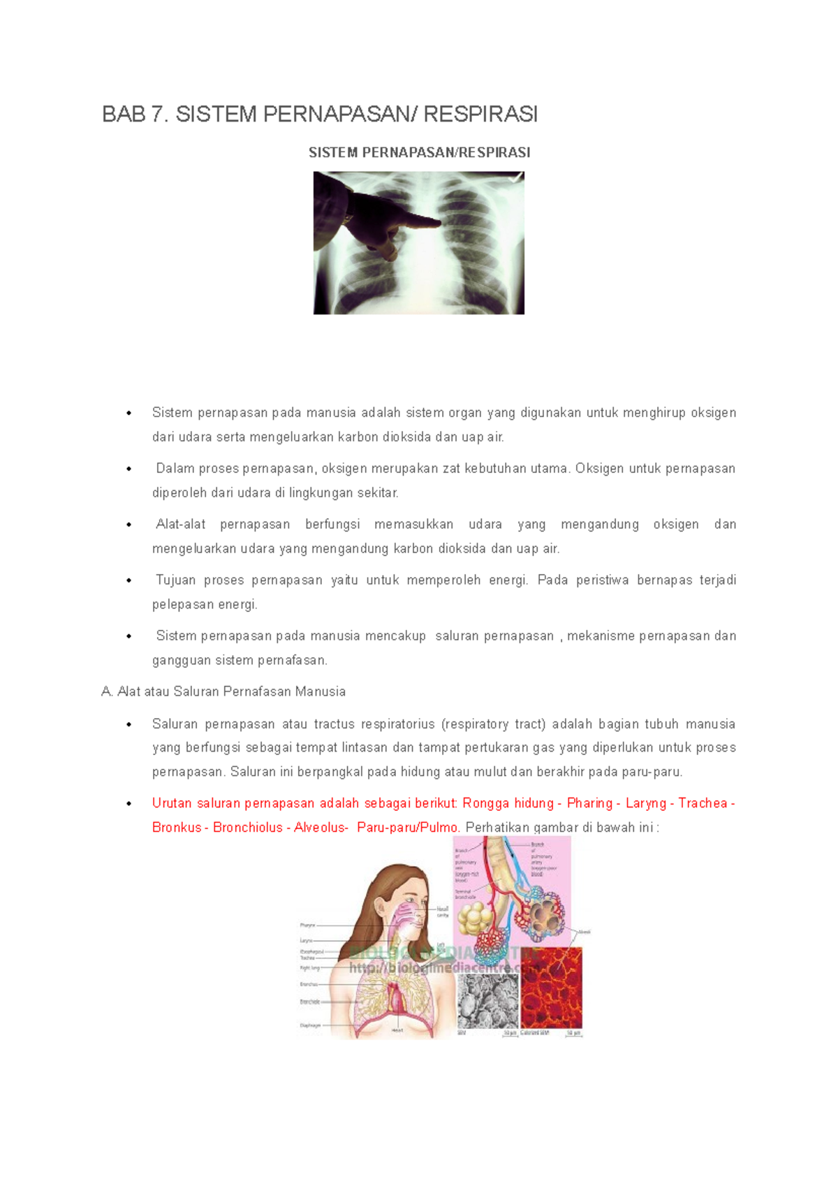 sistem pernafasan - BAB 7. SISTEM PERNAPASAN/ RESPIRASI SISTEM ...