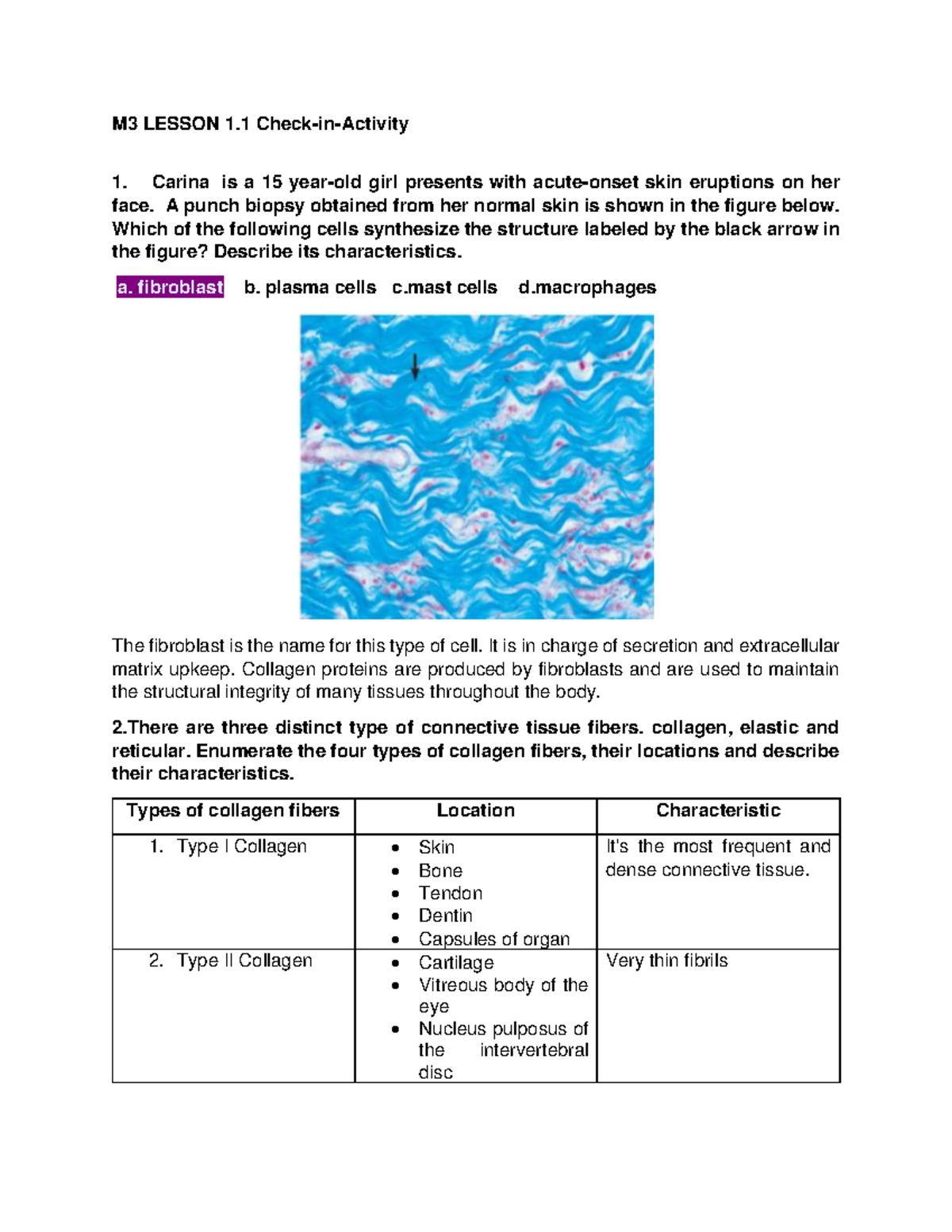 M3 Lesson 1.1 Check-in-Activity - M3 LESSON 1 Check-in-Activity 1 ...