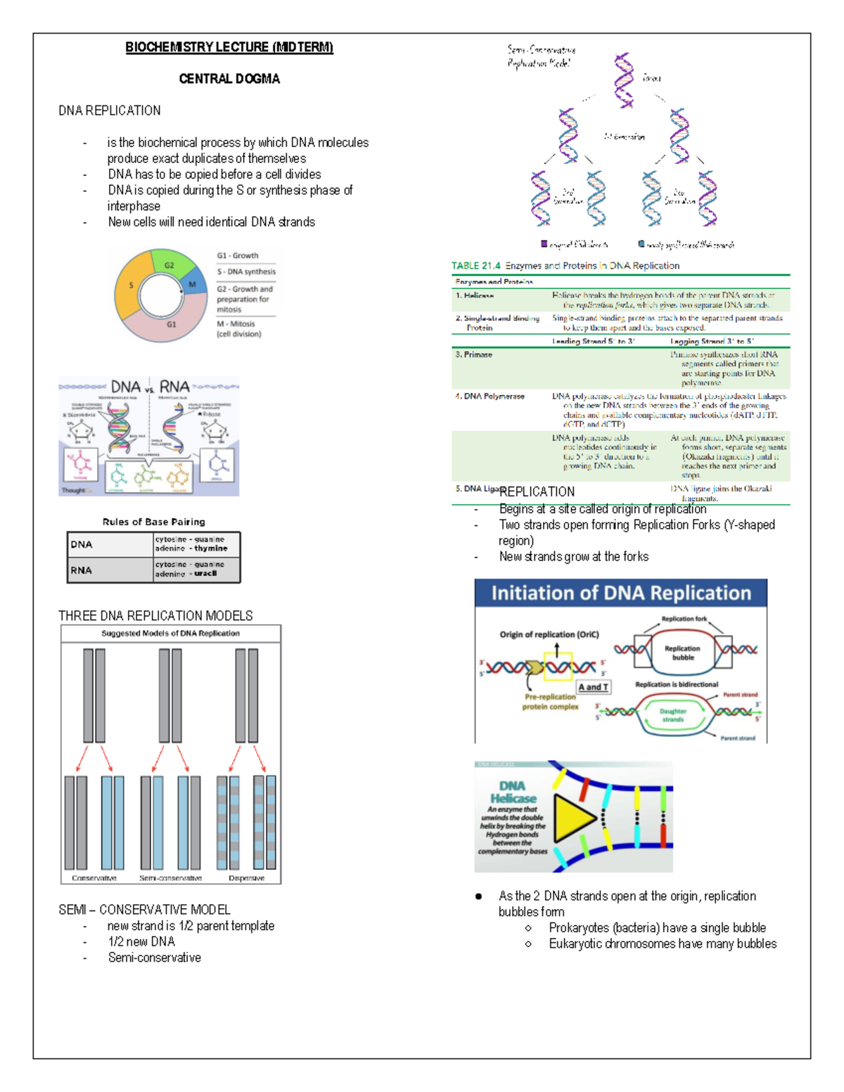 Central Dogma - BIOCHEMISTRY LECTURE (MIDTERM) CENTRAL DOGMA DNA ...