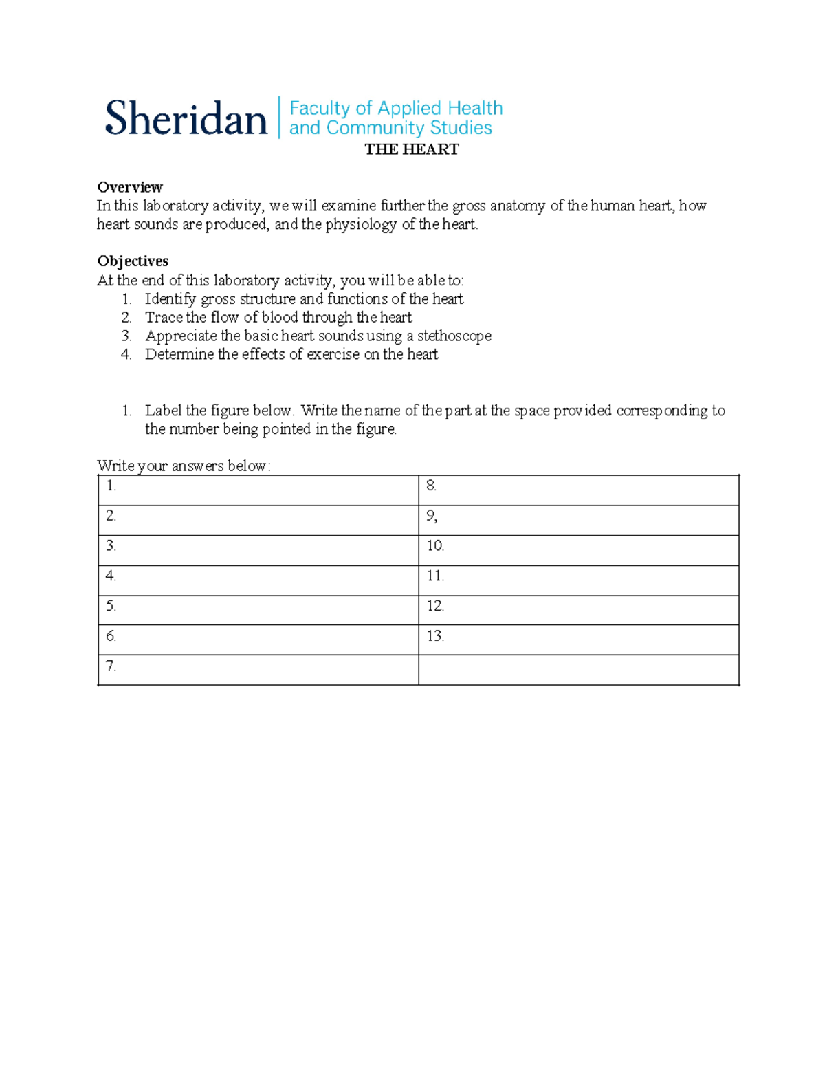 The Cardiovascular system laboratoy activity the heart - THE HEART ...