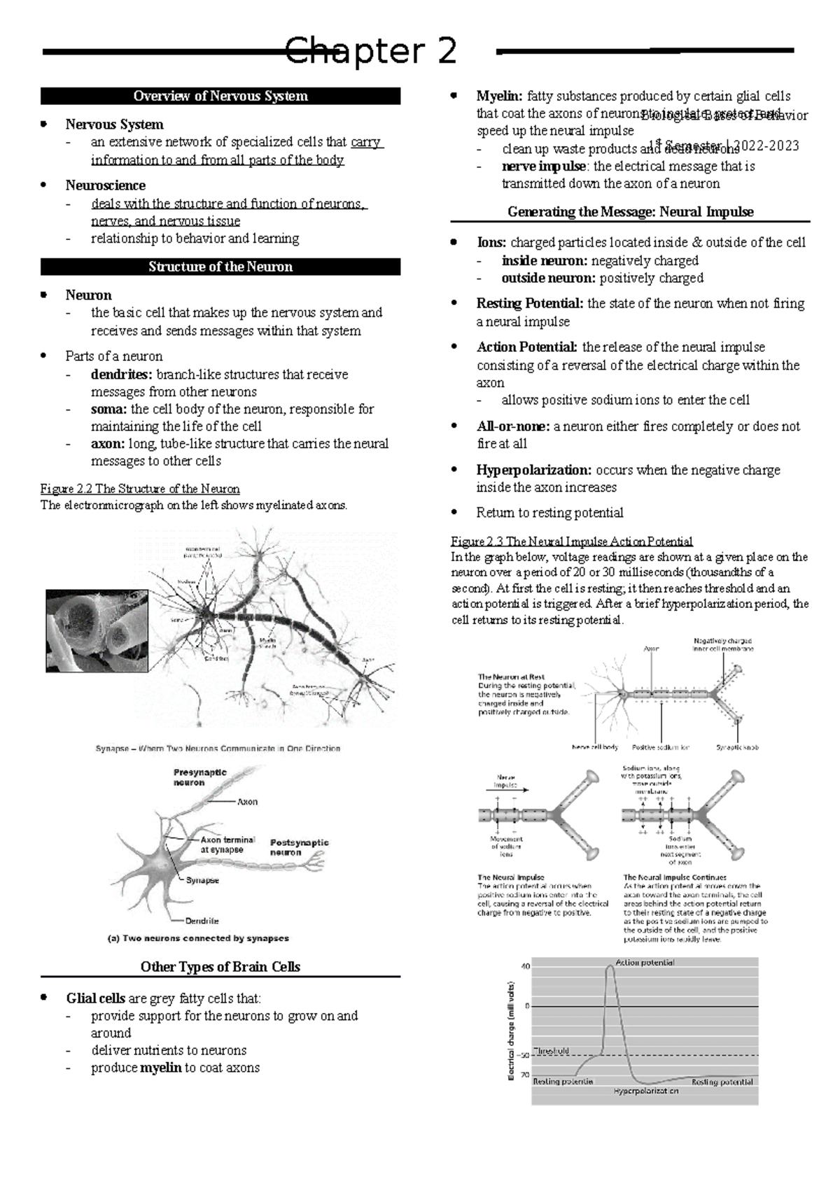Chapter 2 - Biological Bases OF Behavior - Chapter 2 Overview of ...
