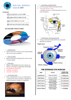 Anatomy Physiology Course Syllabus - Page PAGE * COURSE SYLLABUS ...