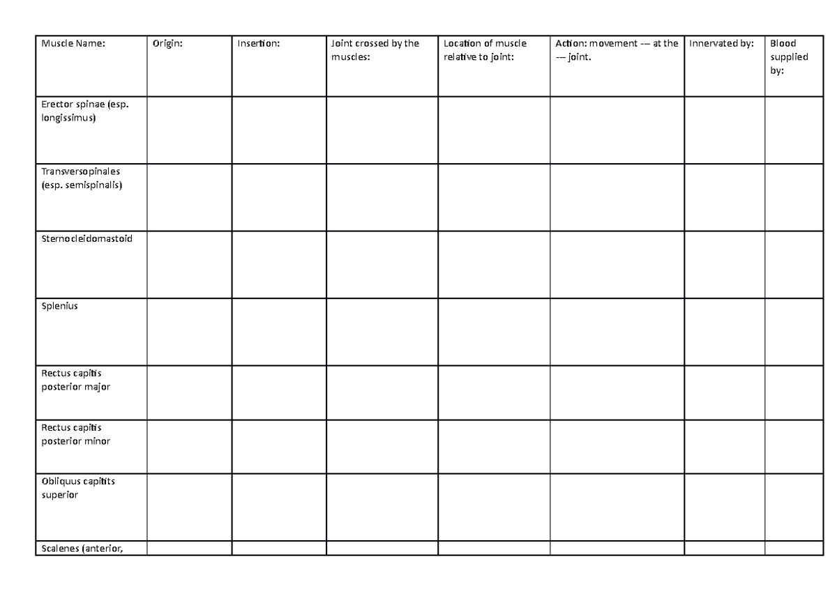 Flag test one - table for study - Muscle Name: Origin: Insertion: Joint ...