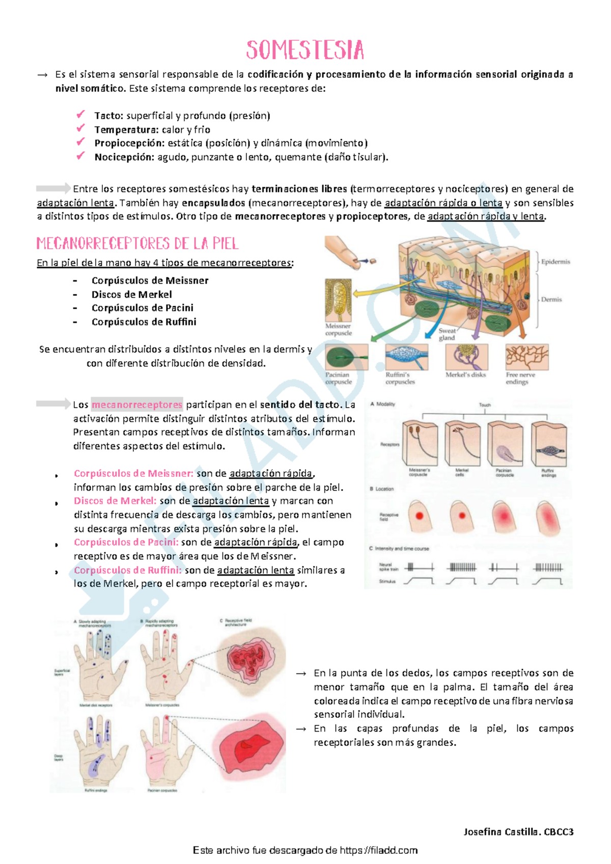 4 Somestesia y dolor - No es mío - Josefina Castilla. CBCC → Es el ...