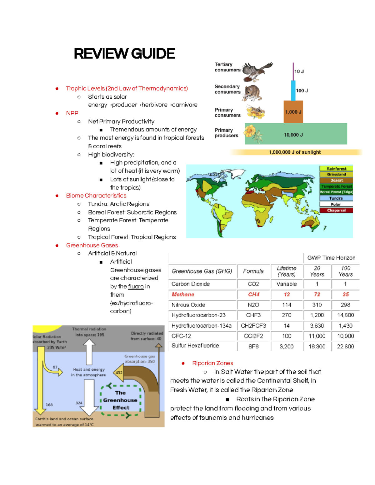 Biology review sheet (trophic levels) - REVIEW GUIDE Trophic Levels ( 2 ...