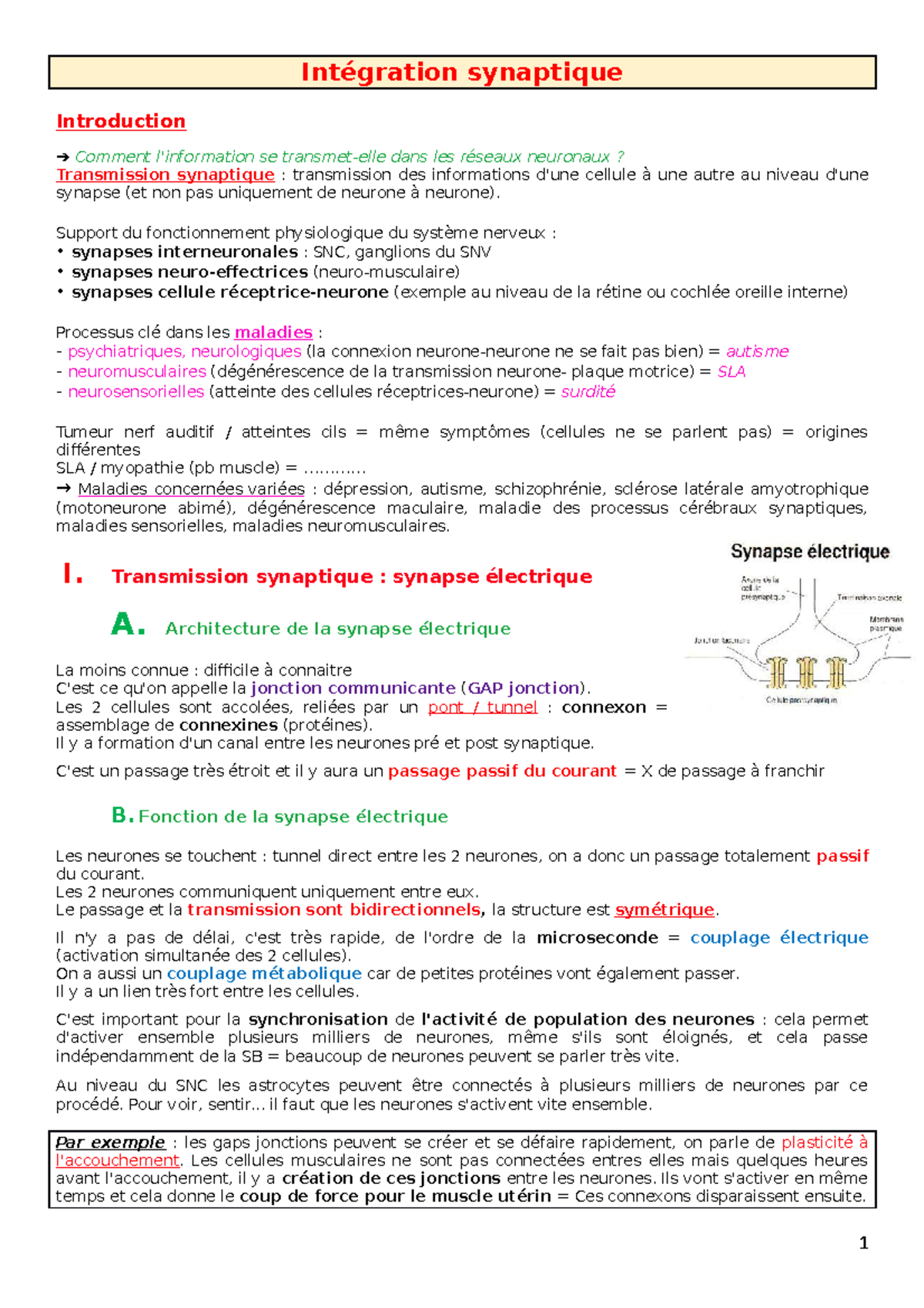 Interaction synaptique - Intégration synaptique Introduction Comment l ...