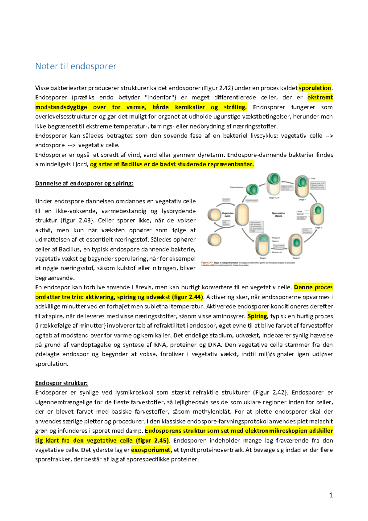 Noter til endosporer - Noter til endosporer Visse bakteriearter ...