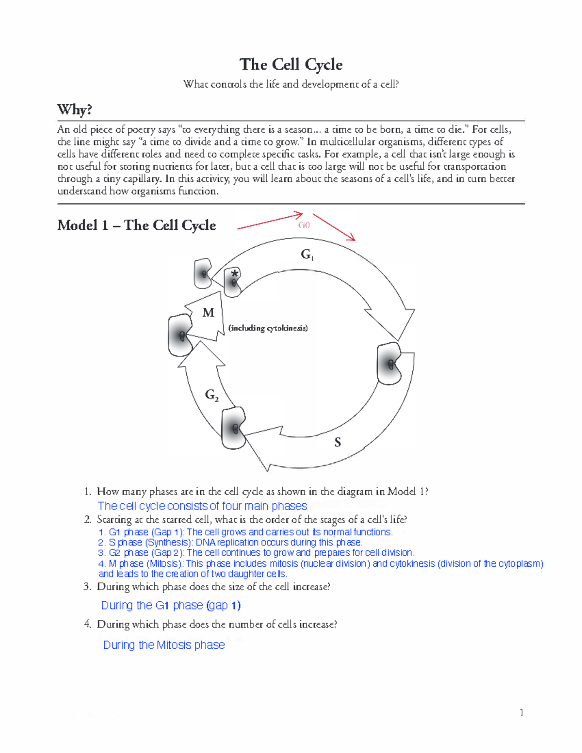 Cell Cycle Pogil Student Worksheet Fa2022-3 - What controls the life ...