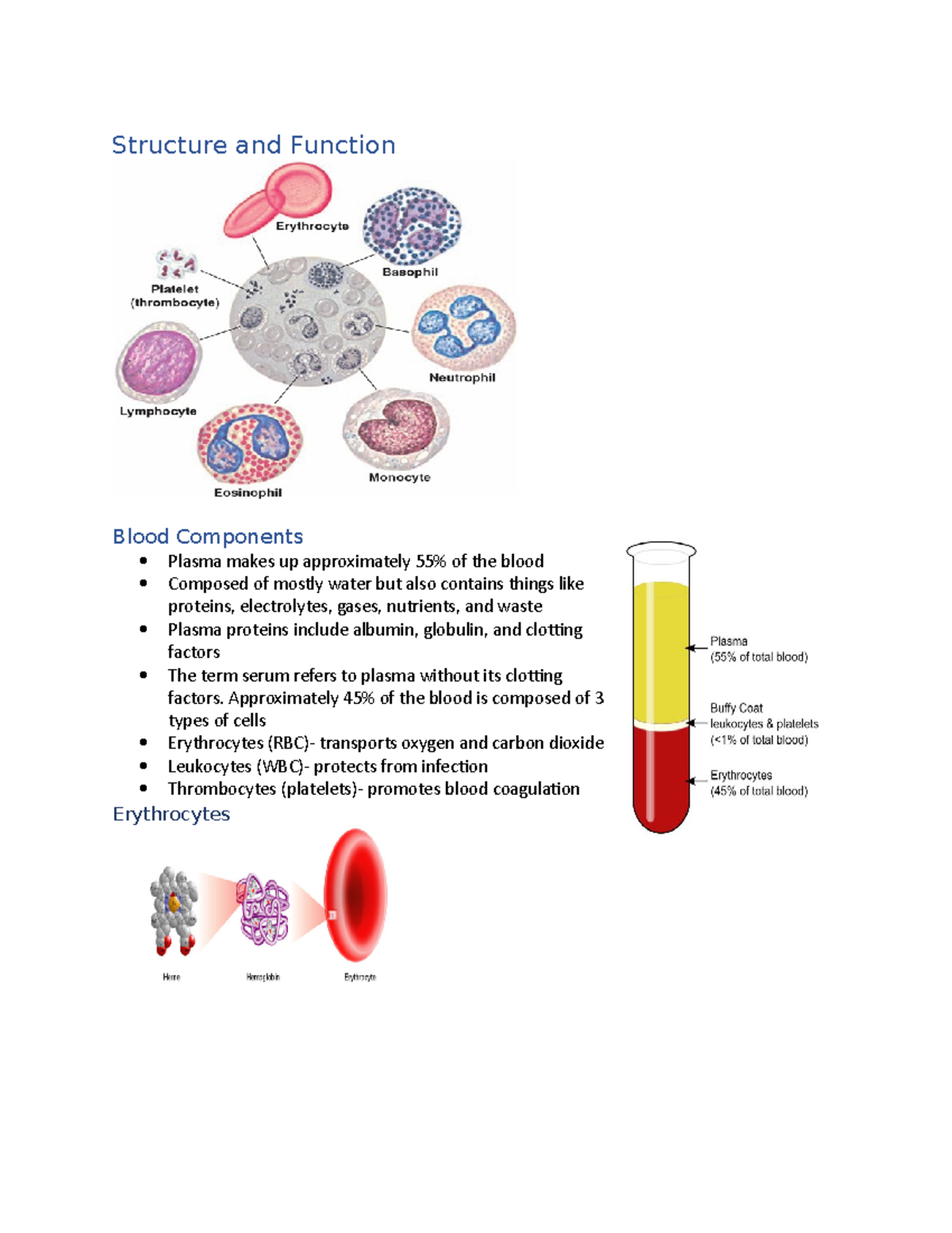 hematological system- nurs praxis - Structure and Function Blood Components Plasma makes up ...