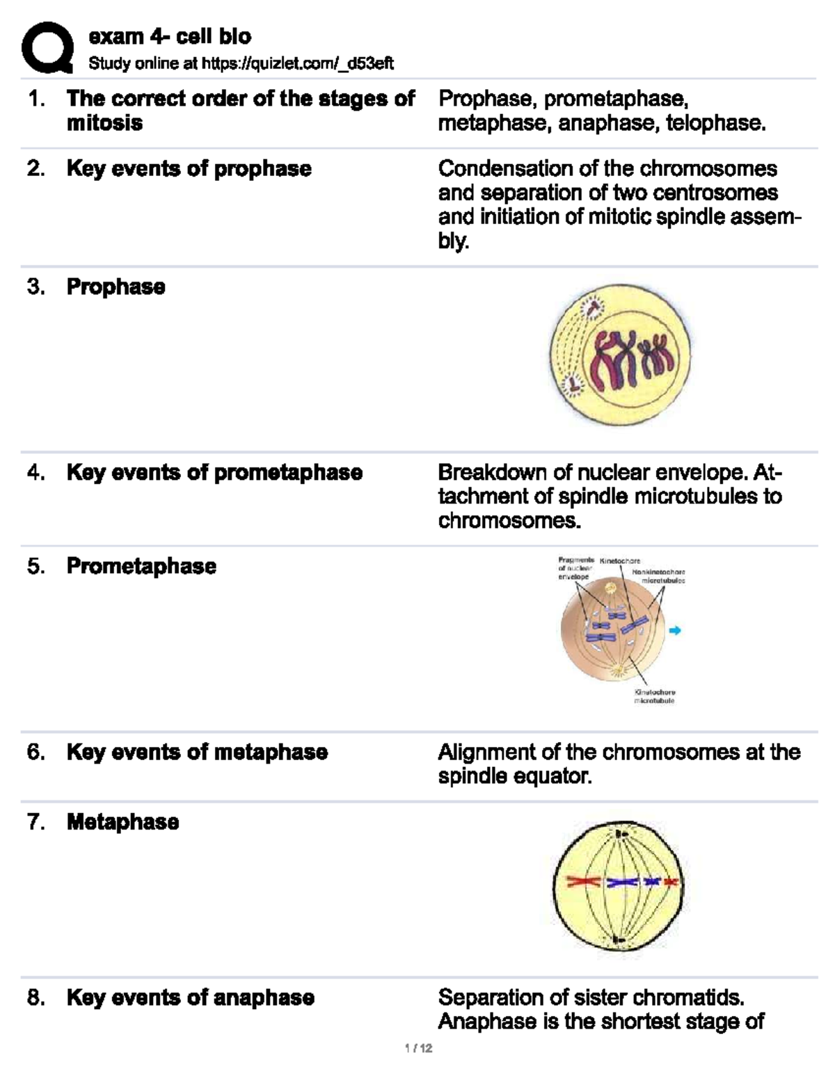 Cb16 - Cell Biology Notes. - PCB 3023C - Studocu