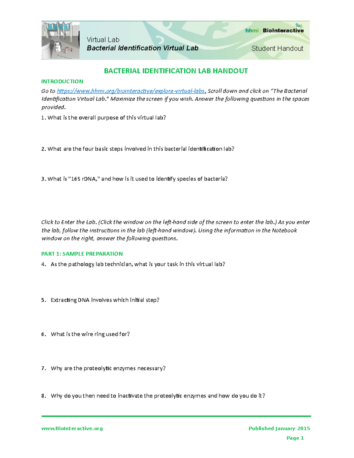 Bacterial Identification Lab Worksheet Student - Virtual Lab Bacterial ...